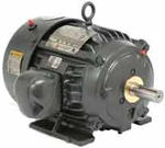 ESR Motor Systems - IEEE-841 Motors